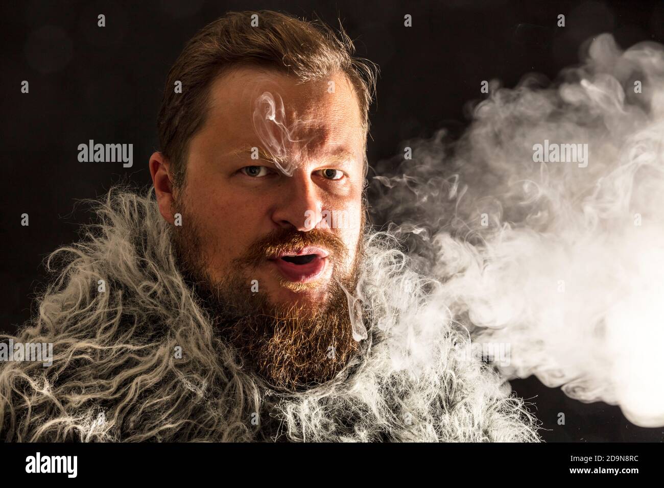 Solid bearded man dressed in a fur mantle exhaling vapour from his ...