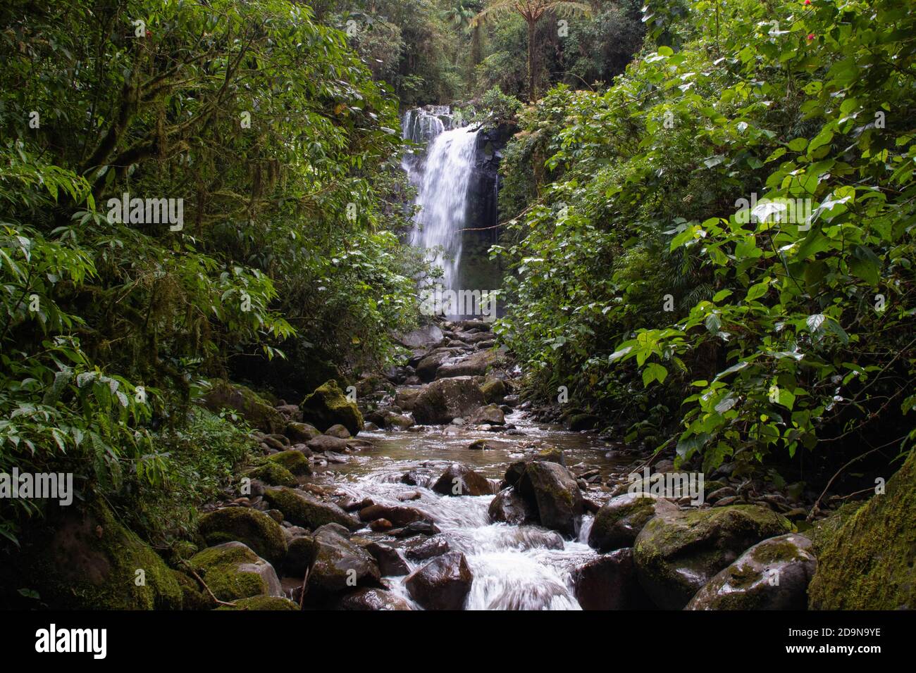Panama waterfall hi-res stock photography and images - Alamy