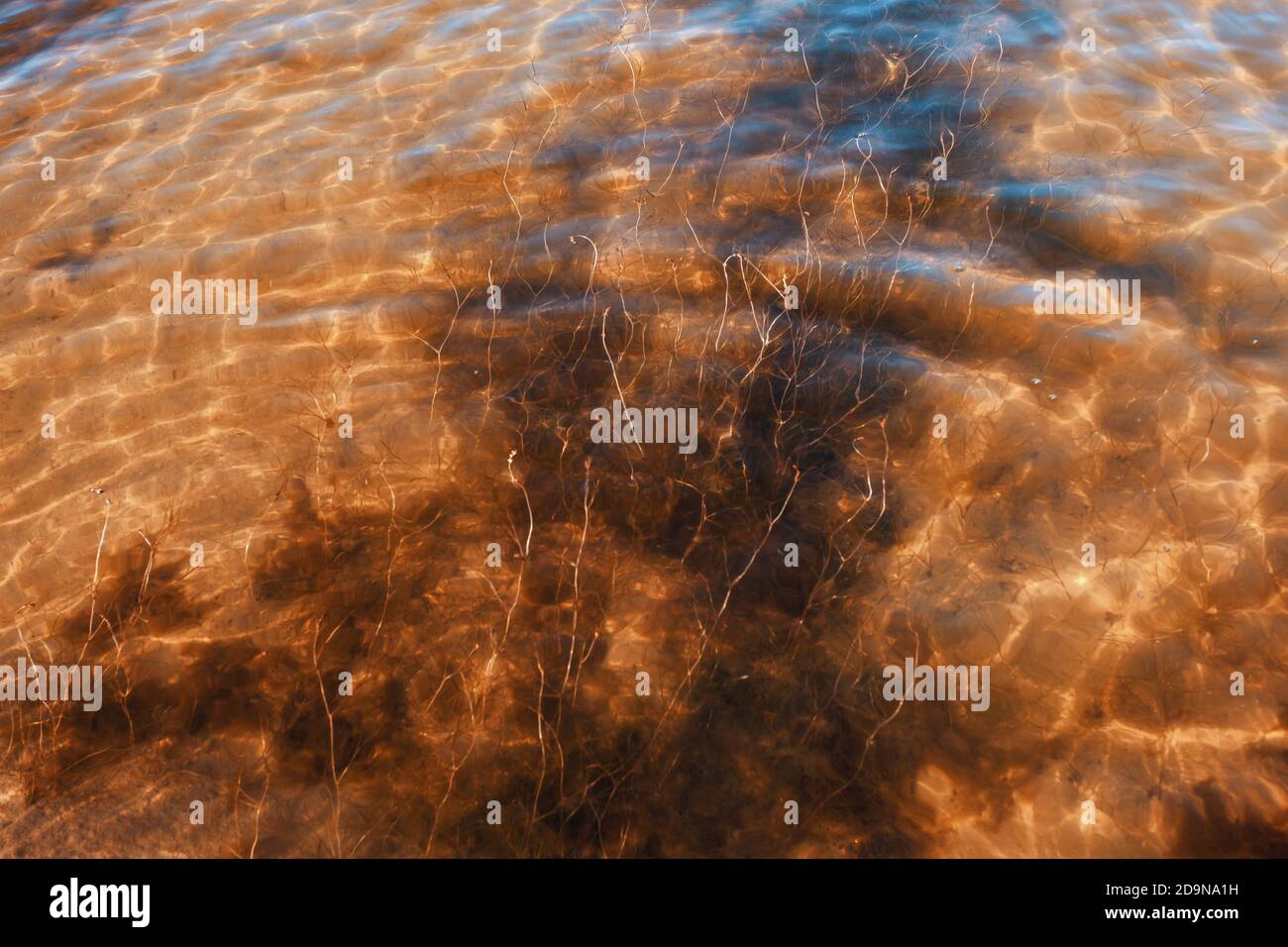 Rippled water texture background. Wave abstract background Stock Photo ...