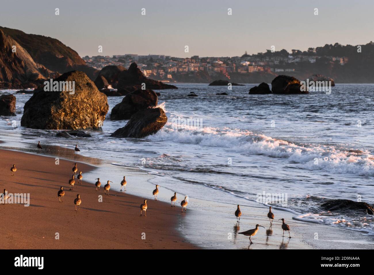 Marshall’s beach san francisco hi-res stock photography and images - Alamy