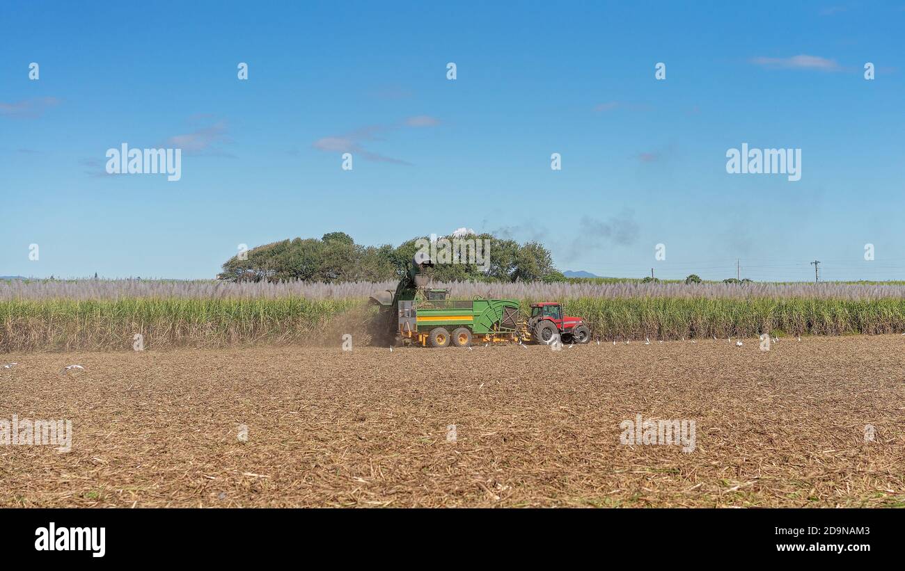 Sugarcane harvester australia hi-res stock photography and images - Alamy