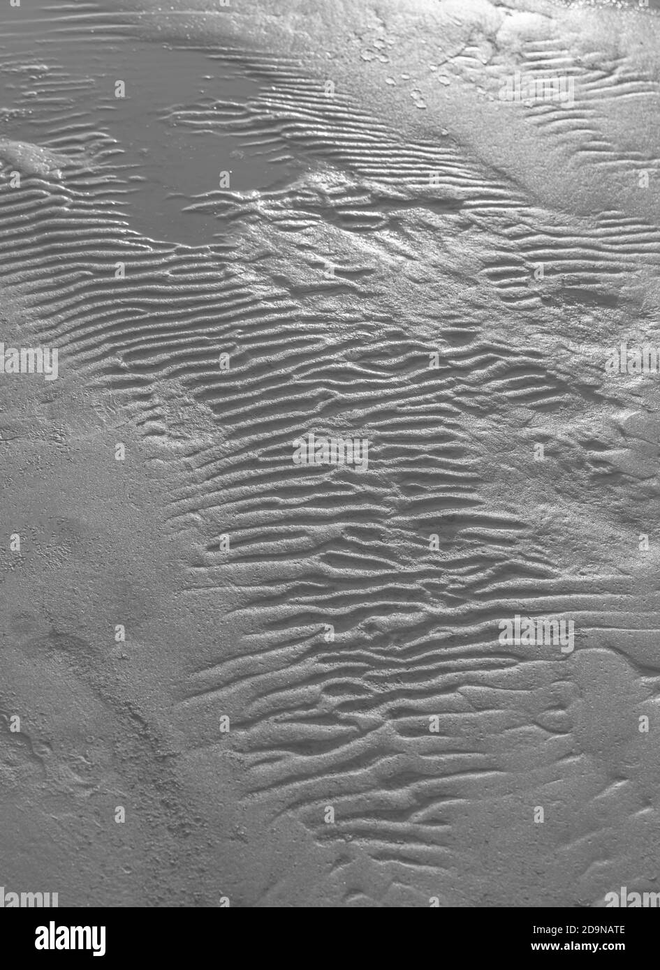 Dunes on the sea shore. Ripples in wet sand background texture. Beach ...