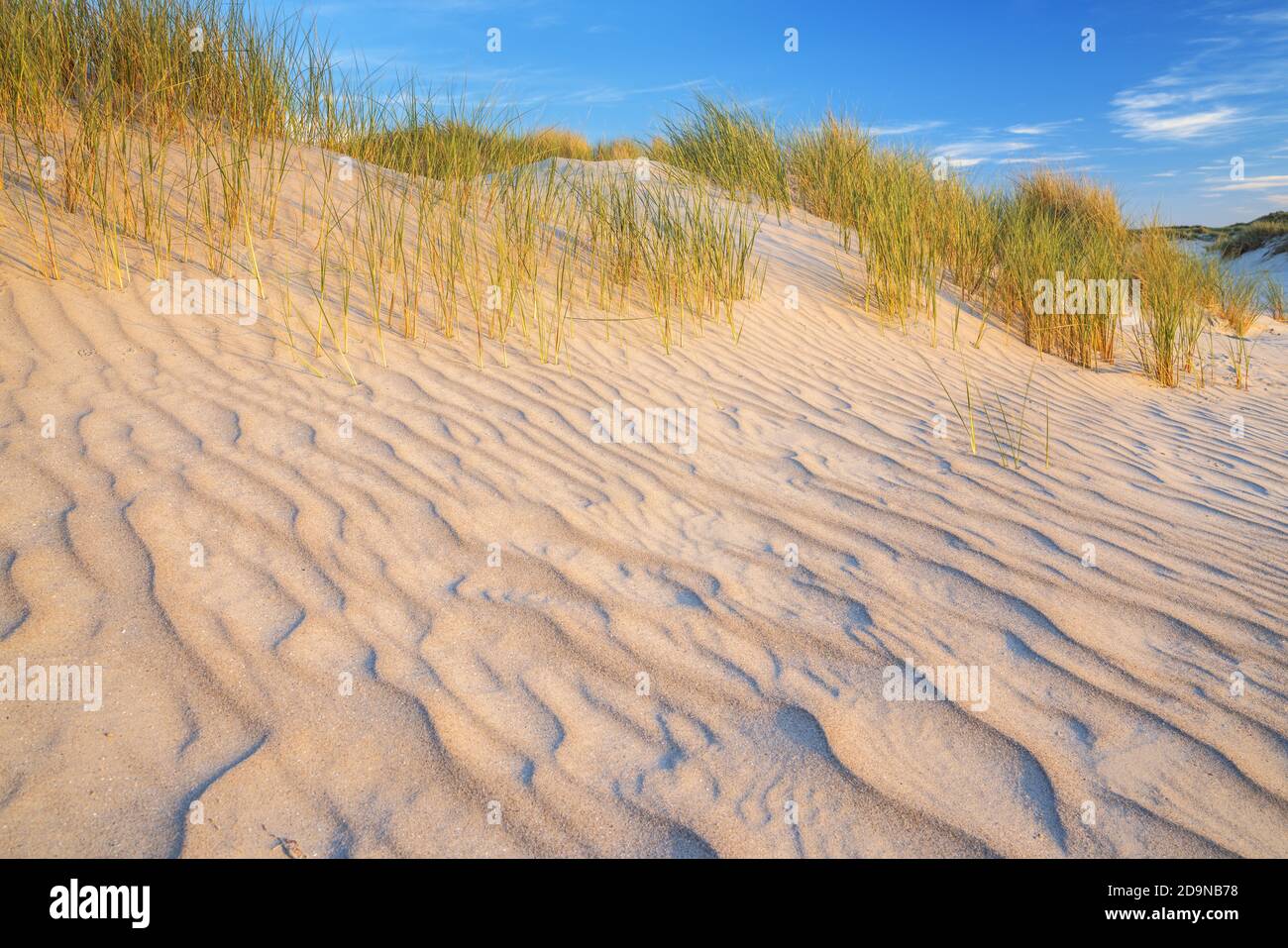 Dunes on the beach on the island of Norderney, East Frisia, Lower ...
