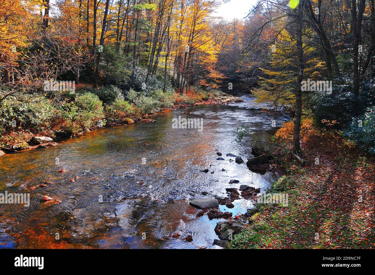 It is easy to fall in love with the gorgeous Fall colors and scenery of ...
