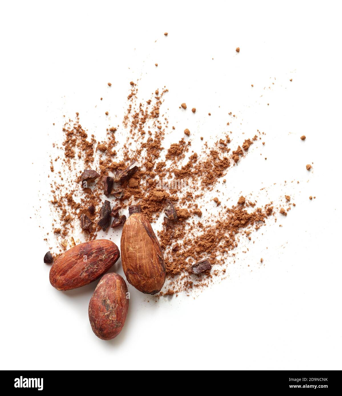 cocoa beans and powder isolated on white background, top view Stock ...