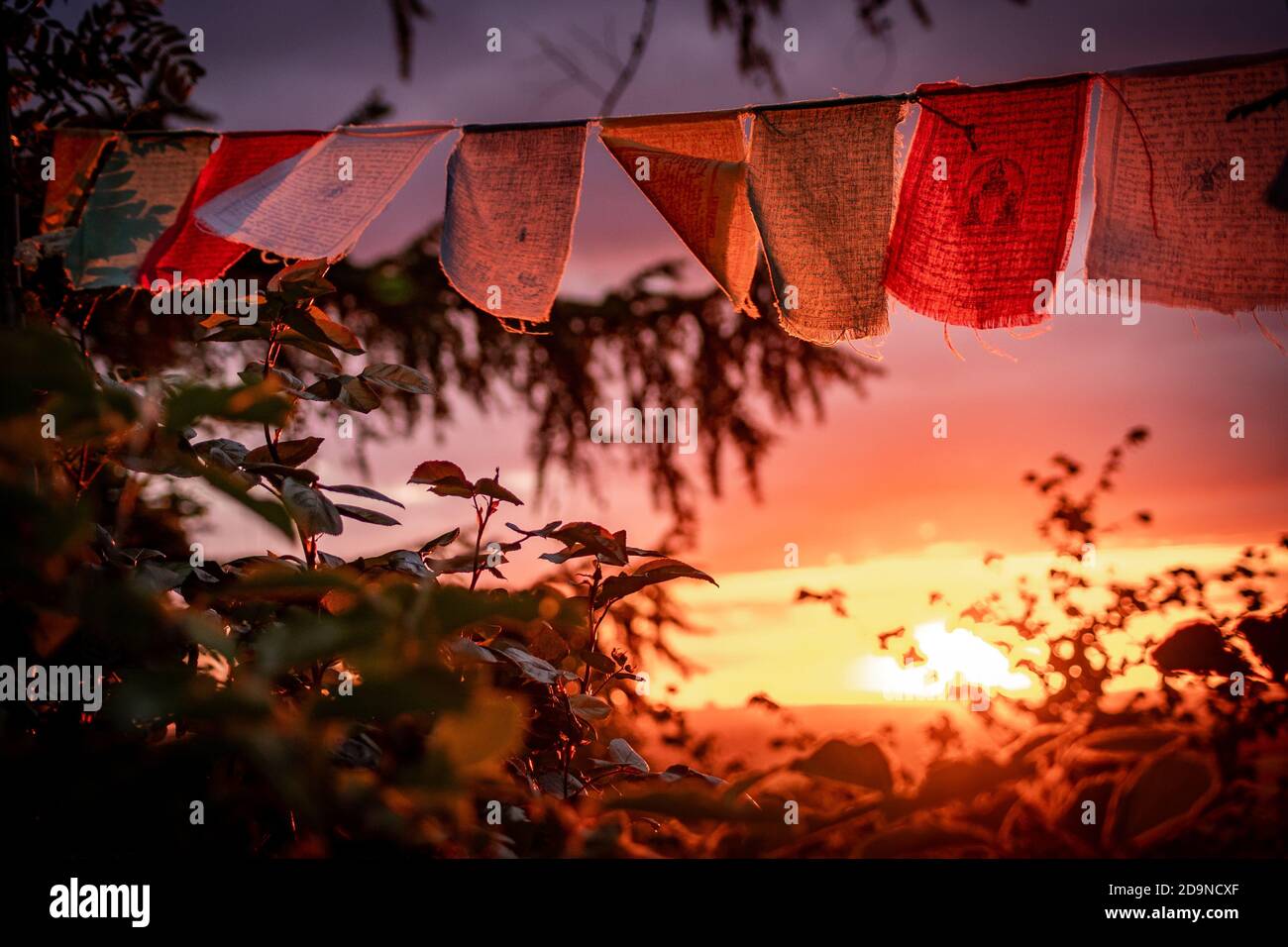 Hindu prayer flags hi-res stock photography and images - Alamy