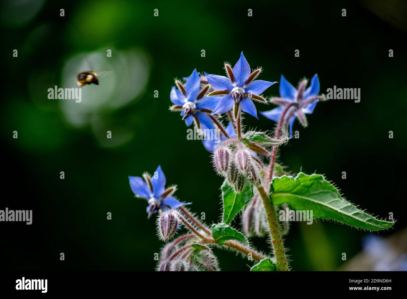 Flying for a cause hi-res stock photography and images - Alamy