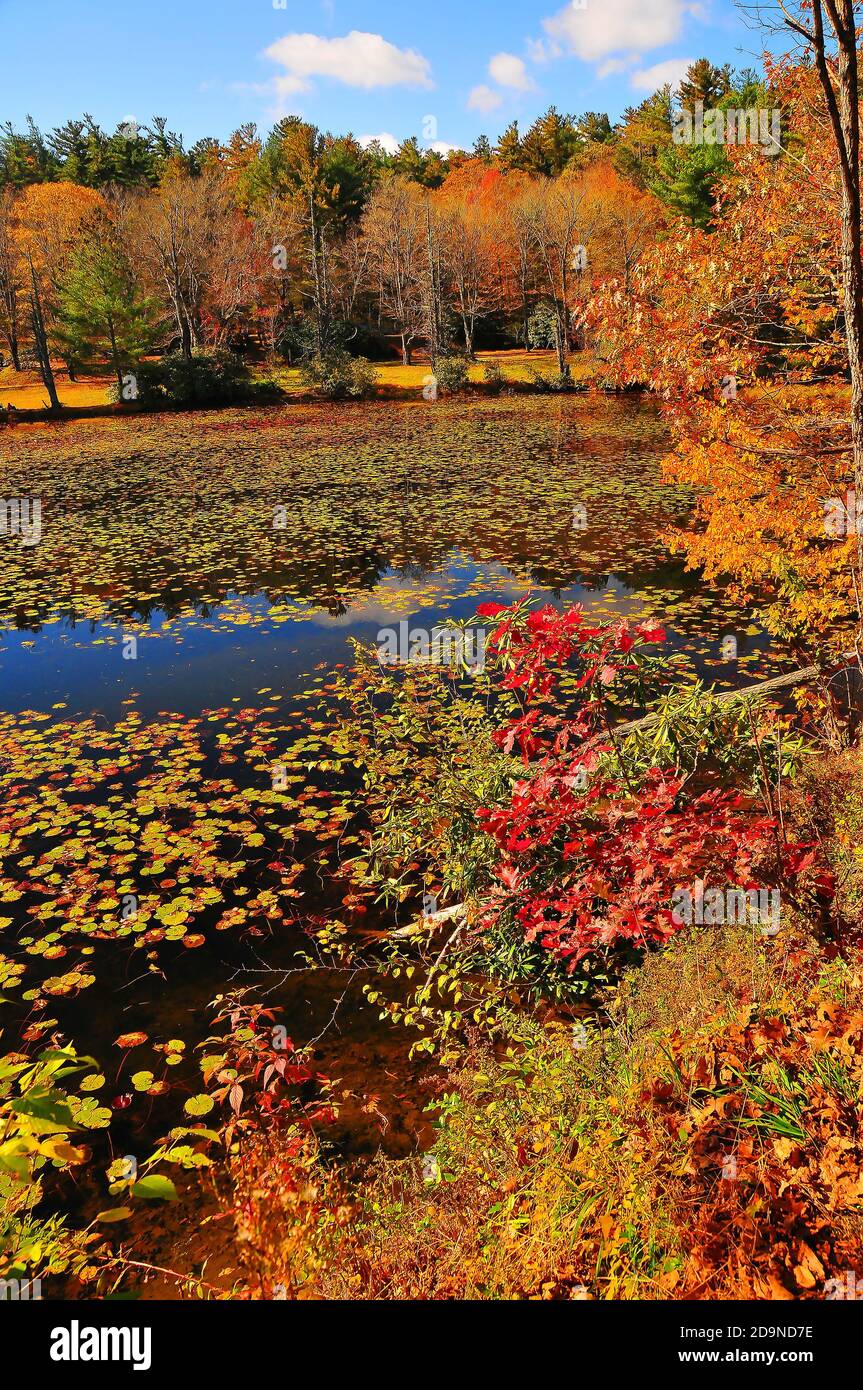 It is easy to fall in love with the gorgeous Fall colors and scenery of ...