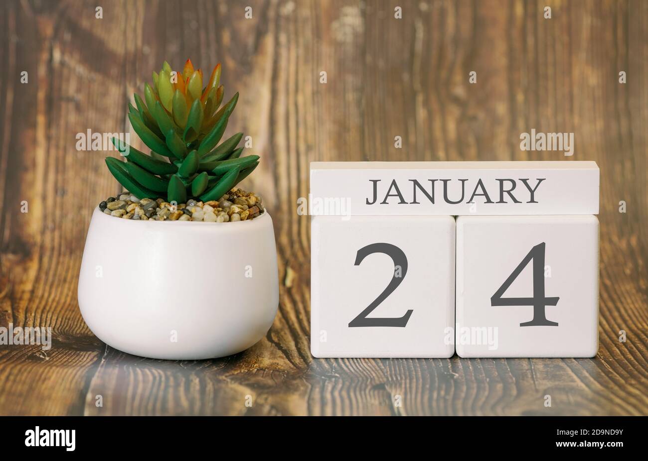 Flower pot and calendar for the snow season from 24 January. Winter ...