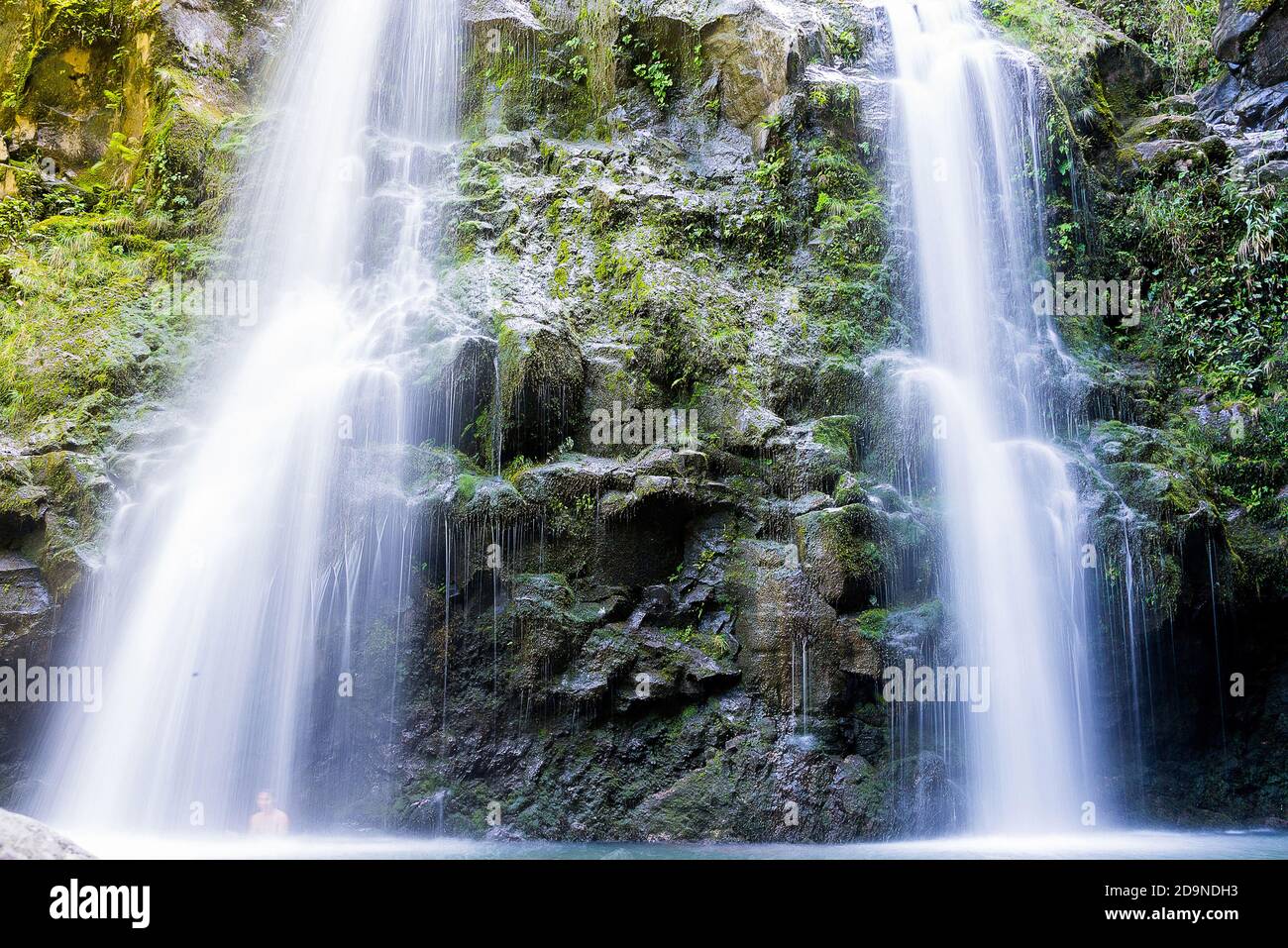 Beautiful view of a waterfall over rocks covered in moss in the jungle ...