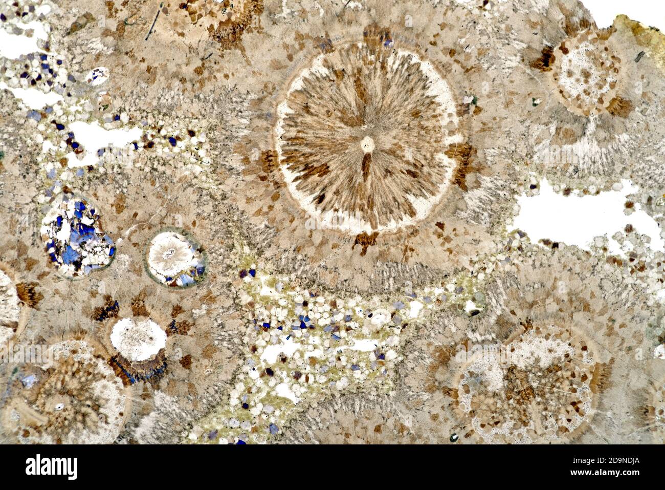 Spherulitic obsidian hi-res stock photography and images - Alamy
