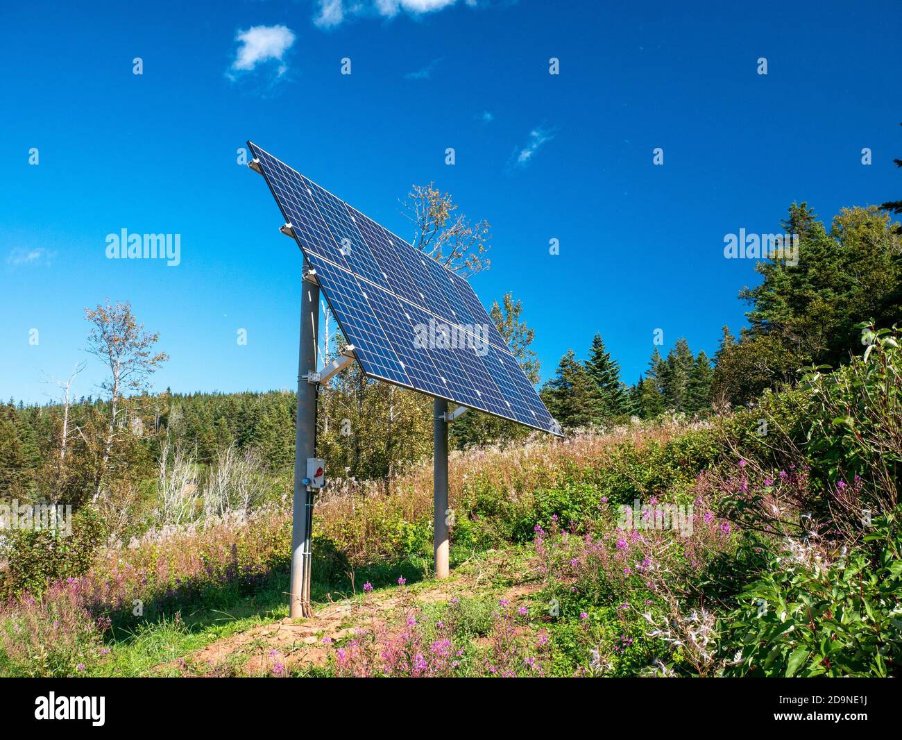 Bright solar panels in the nature Stock Photo - Alamy