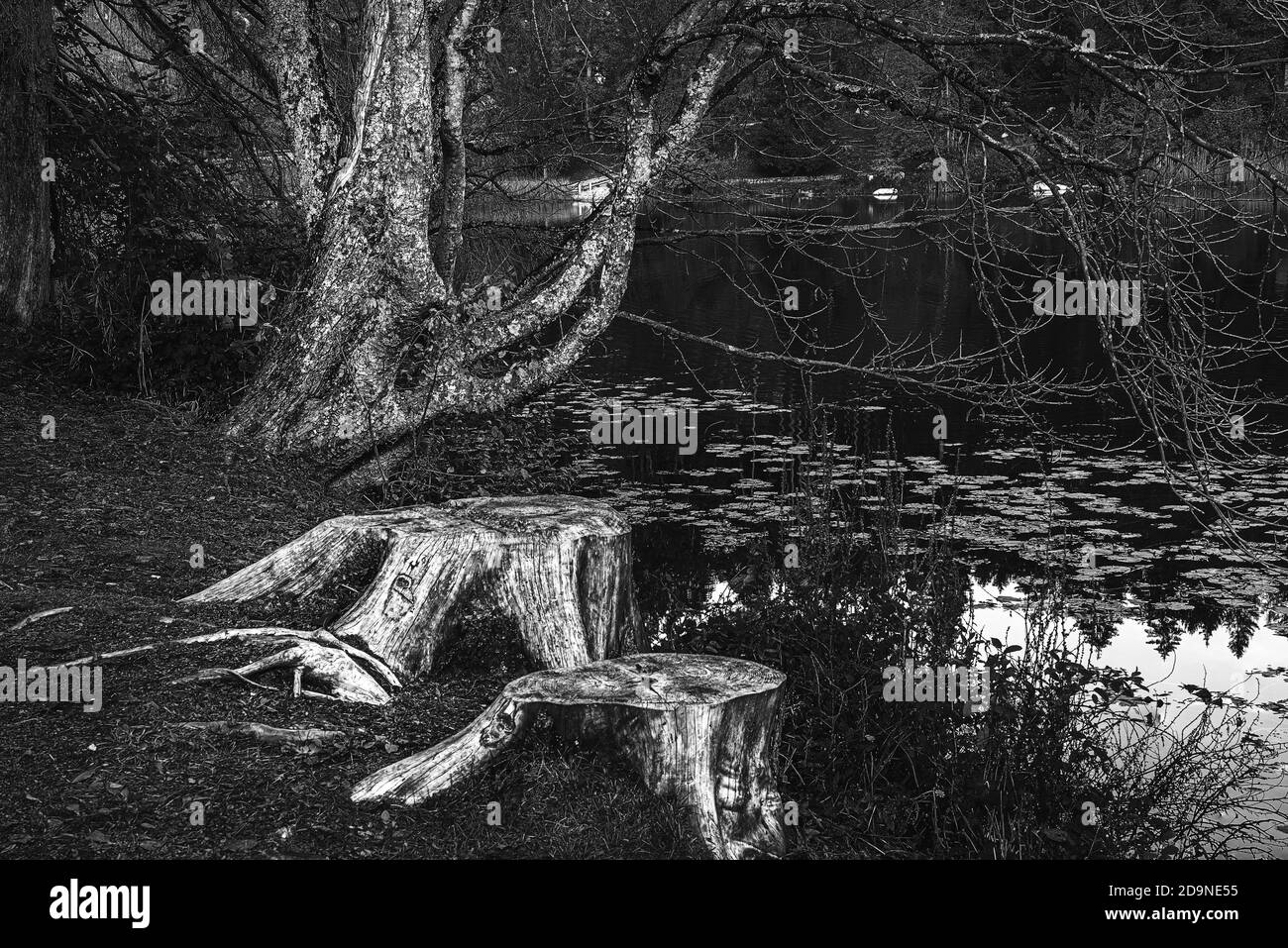 River flow sea Black and White Stock Photos & Images - Alamy