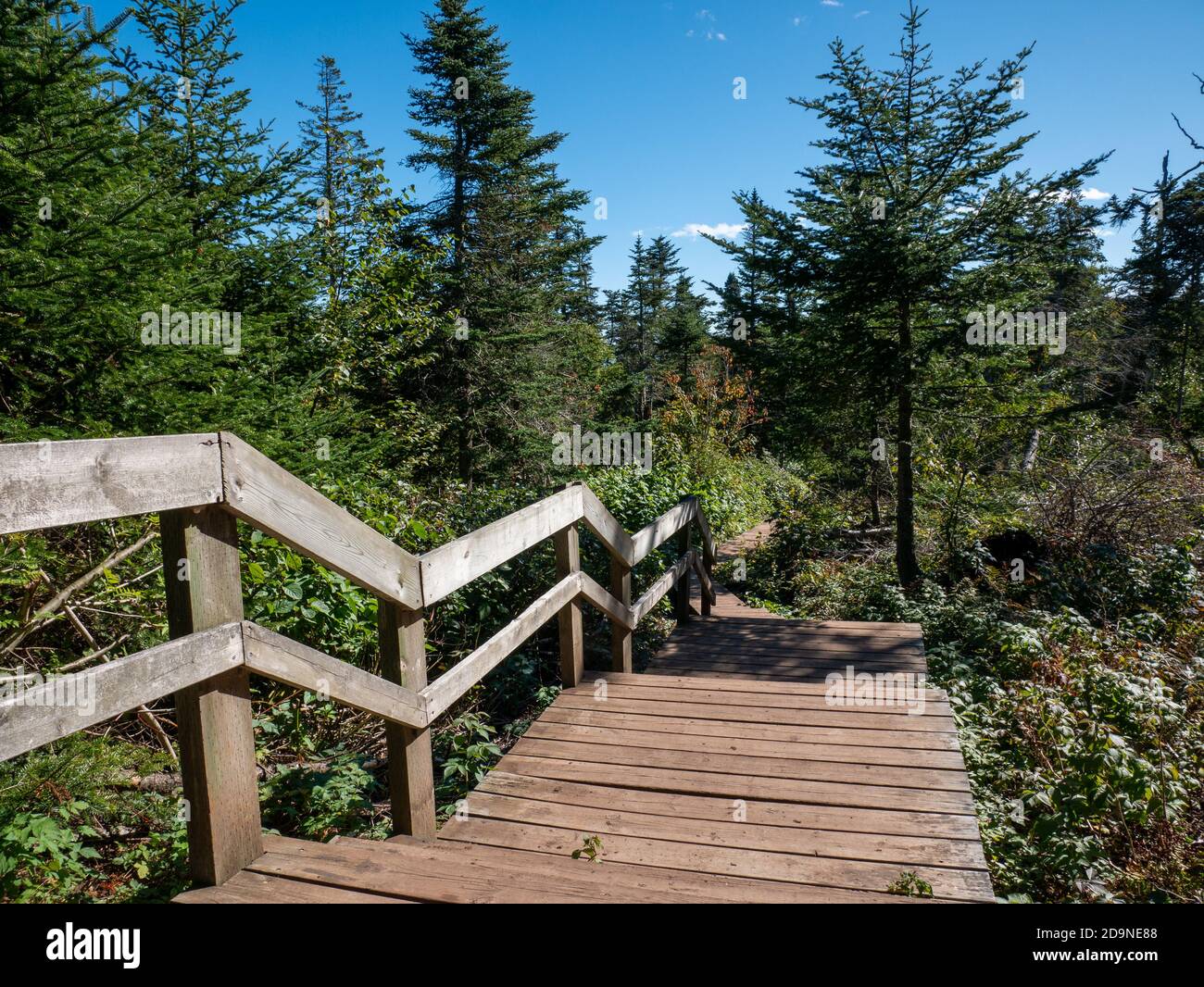 Bonaventure island bird sanctuary hi-res stock photography and images ...