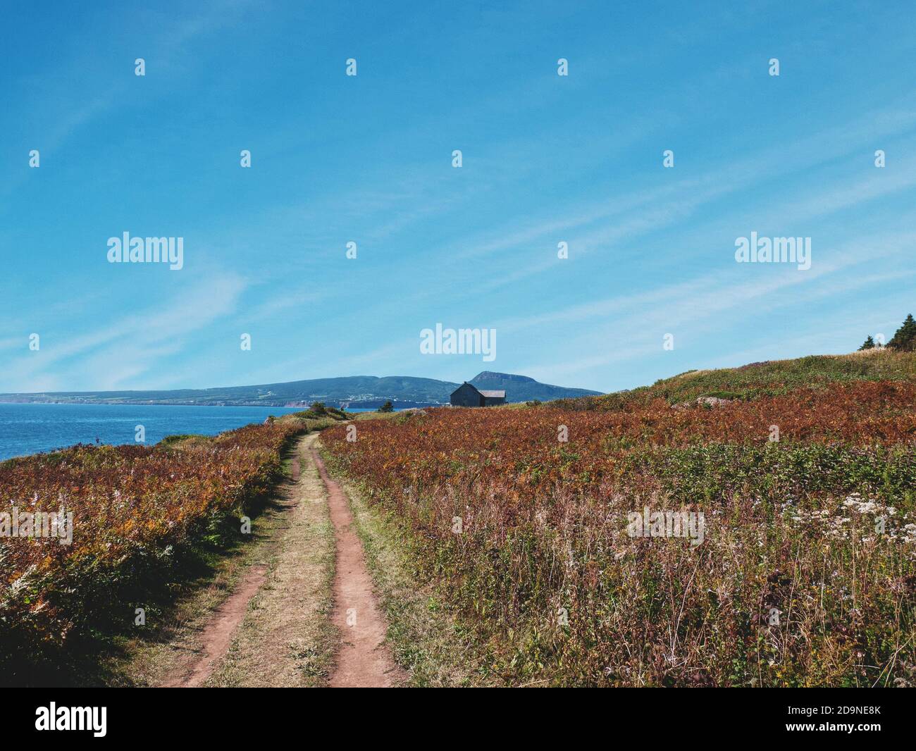 Trail in the forests of Bonaventure island bird sanctuary - a Quebec ...
