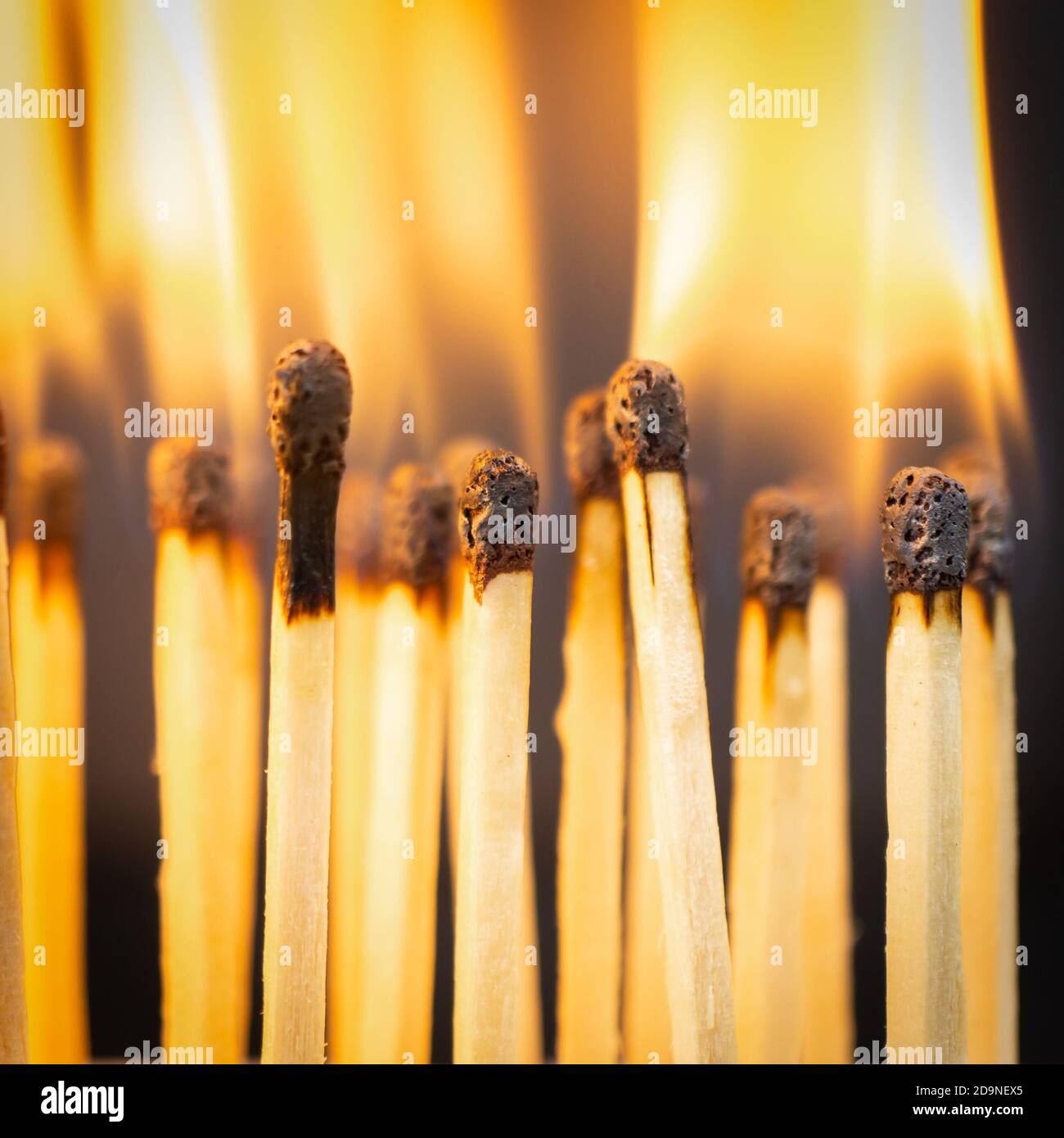 Closeup shot of a group of burning matches Stock Photo - Alamy