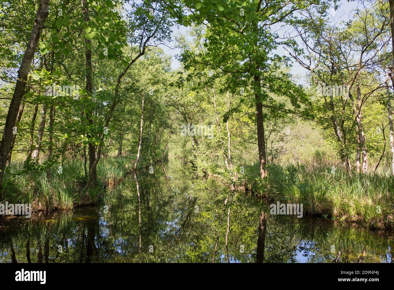 Wieden hi-res stock photography and images - Alamy