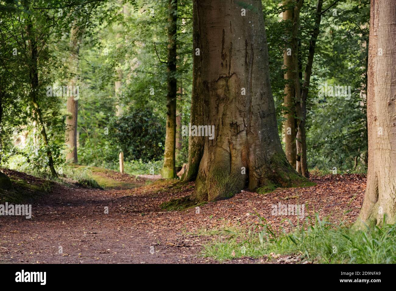 Groningen area hi-res stock photography and images - Alamy