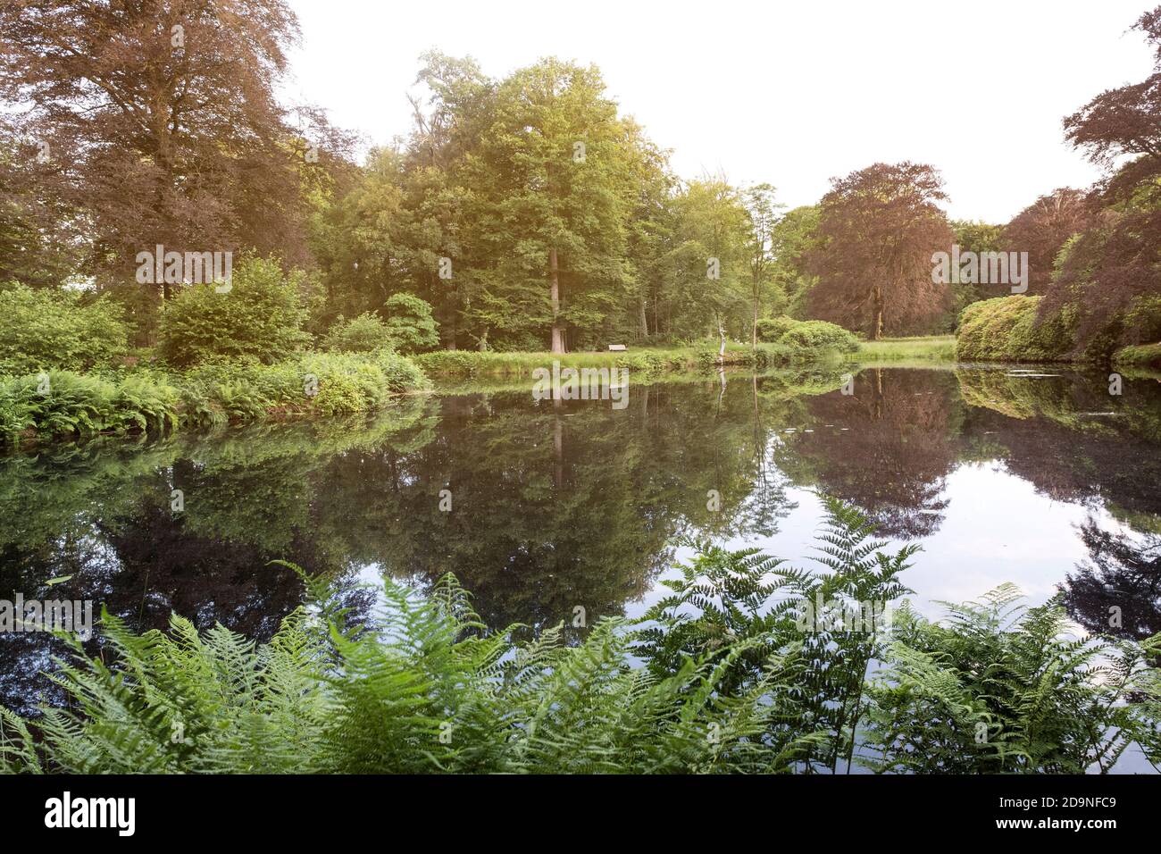 Groningen area hi-res stock photography and images - Alamy