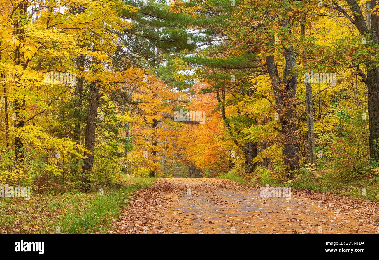 Autumn road in northern Wisconsin Stock Photo - Alamy