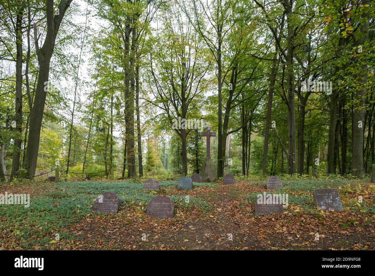 Forest cemetery hi-res stock photography and images - Alamy