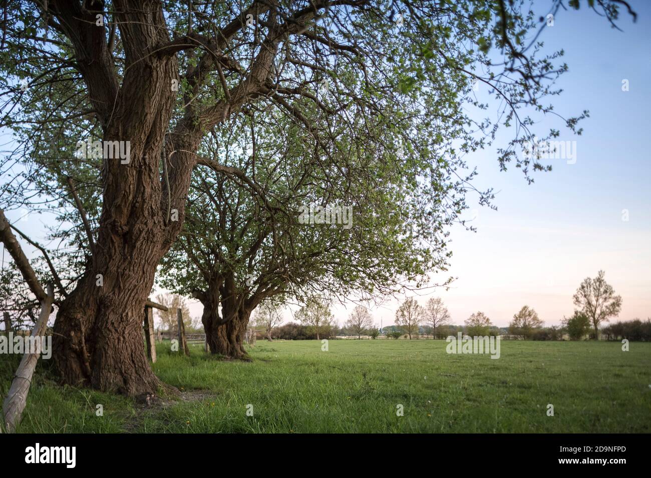 Trees on the edge hi-res stock photography and images - Alamy