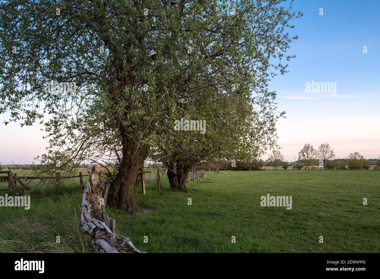 Old edge hi-res stock photography and images - Alamy