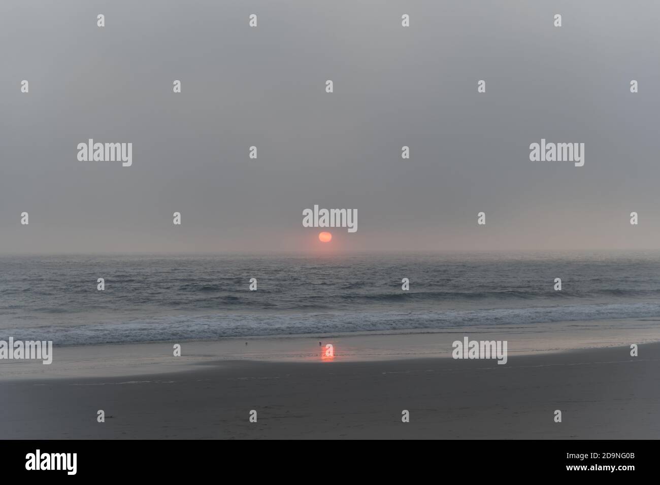 Beautiful foggy Zuma Beach sunset, Malibu, Southern California Stock ...