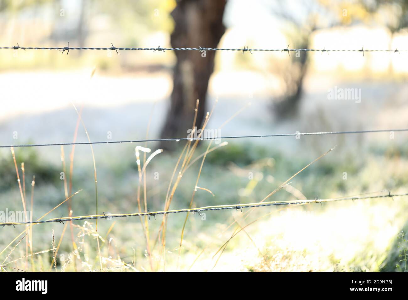Gate barbed wire night hi-res stock photography and images - Alamy