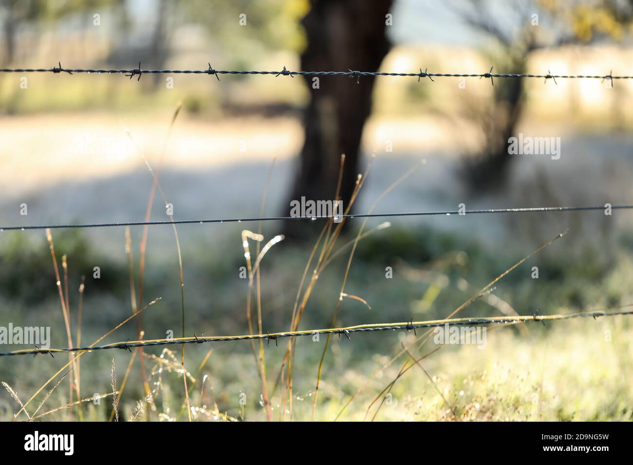 Barbed wire construction hi-res stock photography and images - Alamy