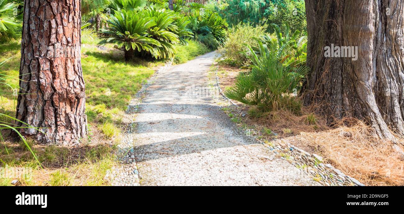 Relaxing and peaceful pathway in botanical garden during summer season ...