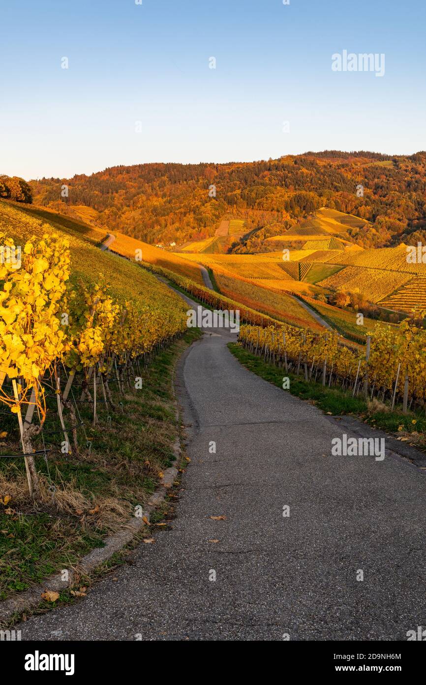 Beautiful autumn landscape at scenic sunset in the Black Forest ...