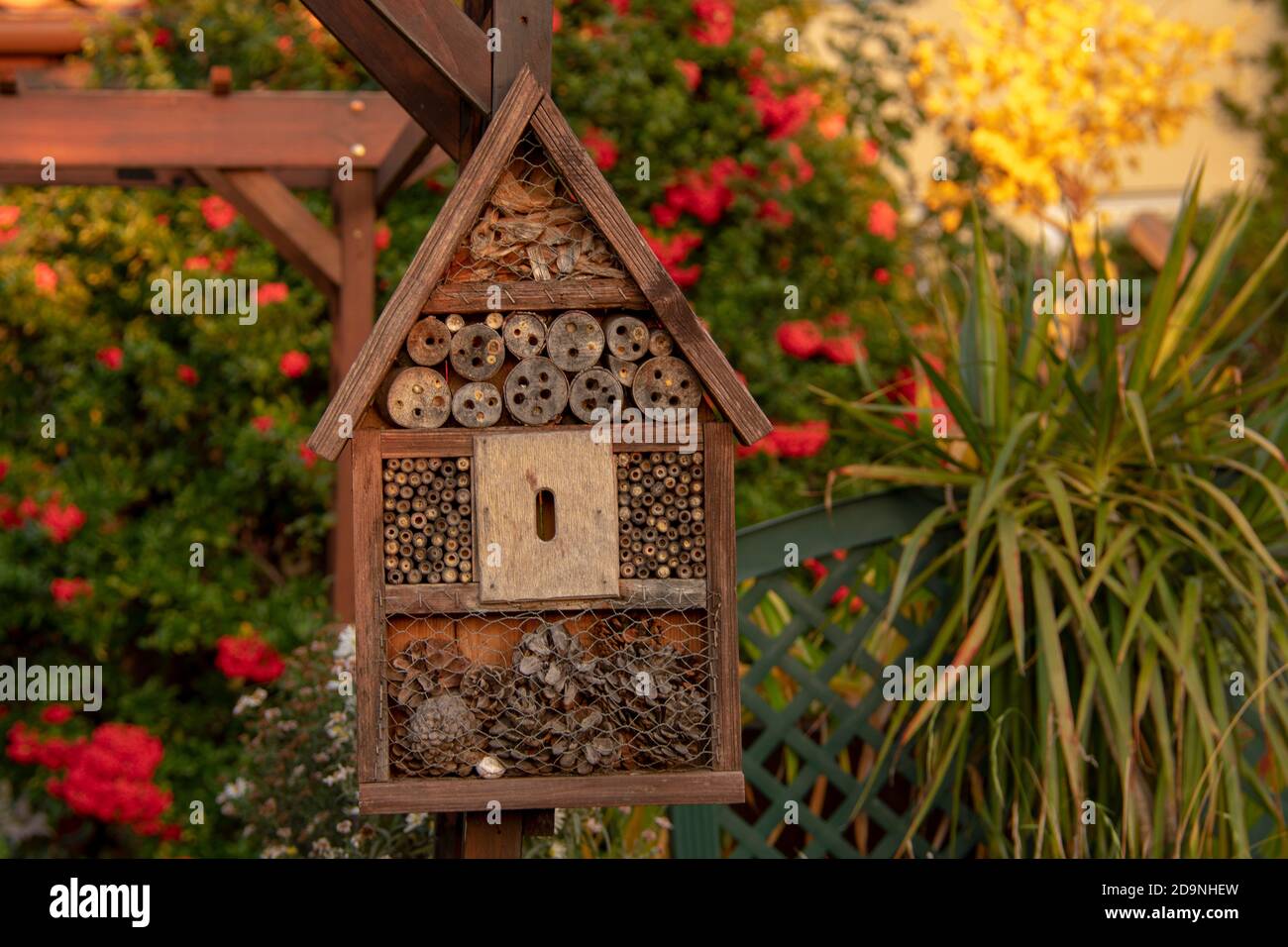 Bee hotel in a small garden in schoneberg Berlin Stock Photo - Alamy