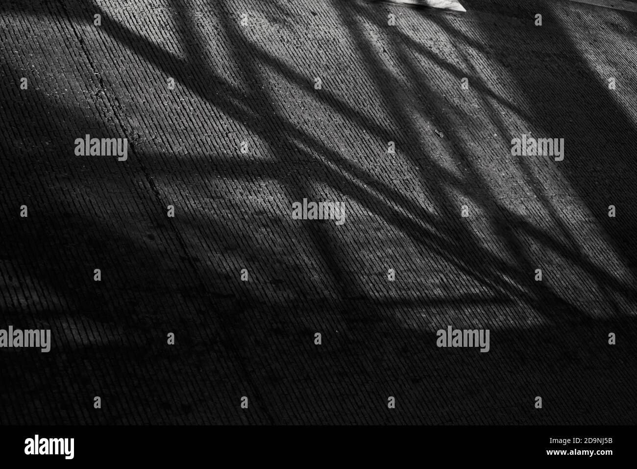 High angle shot of shadow lines on asphalt ground in grayscale Stock ...