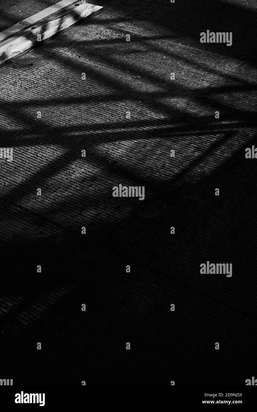 Vertical high angle shot of shadow lines on asphalt ground in grayscale ...