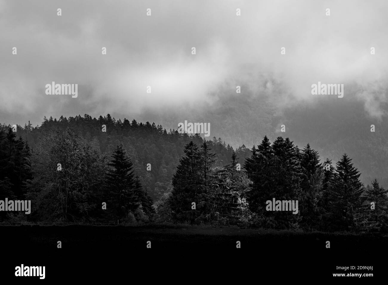 Black Forest Germany Landscape High Resolution Stock Photography and ...
