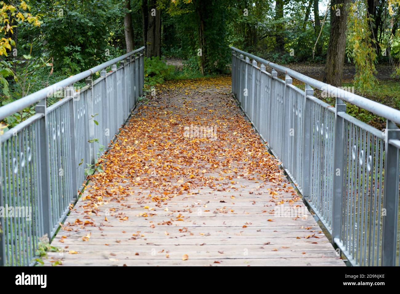 Bridge with autumn leaves Stock Photo - Alamy