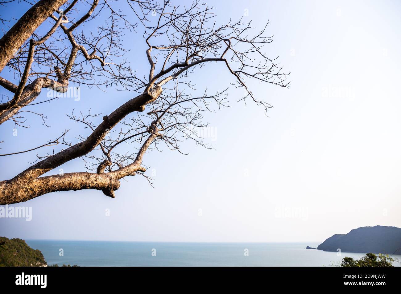Branch sticking out island hi-res stock photography and images - Alamy