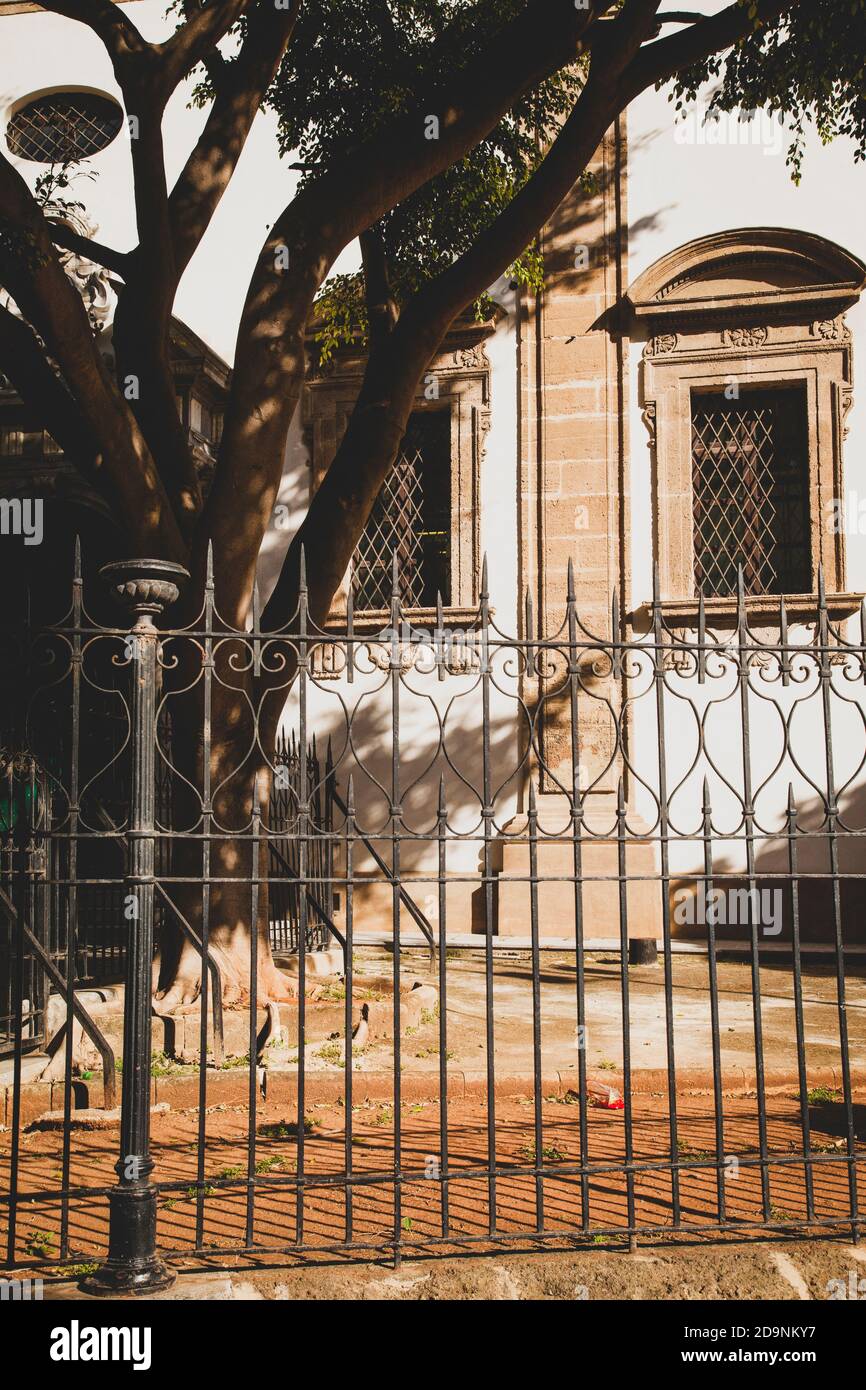 House, tree, palace, palermo, sicily, capital, big city, italy Stock ...