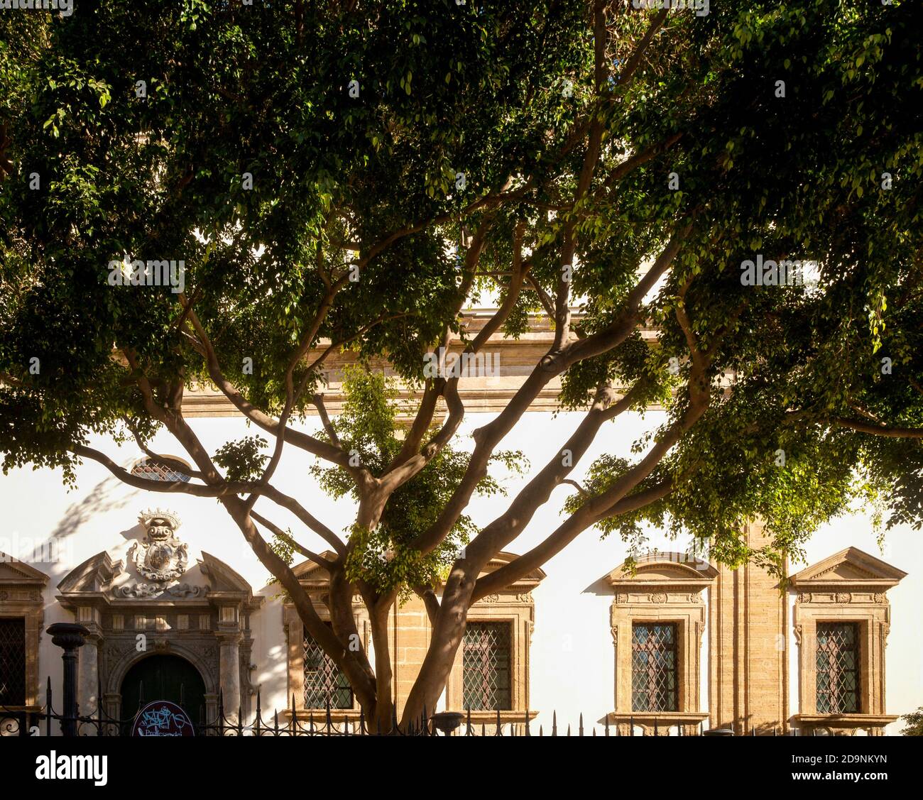 House, tree, palace, palermo, sicily, capital, big city, italy Stock ...