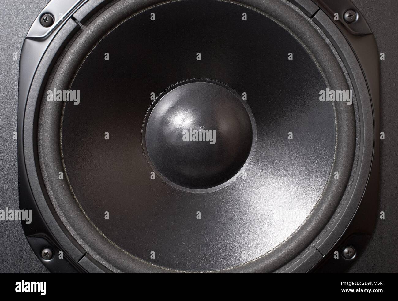 Large dynamic loudspeaker showing the frame, diaphragm, and dust cap ...