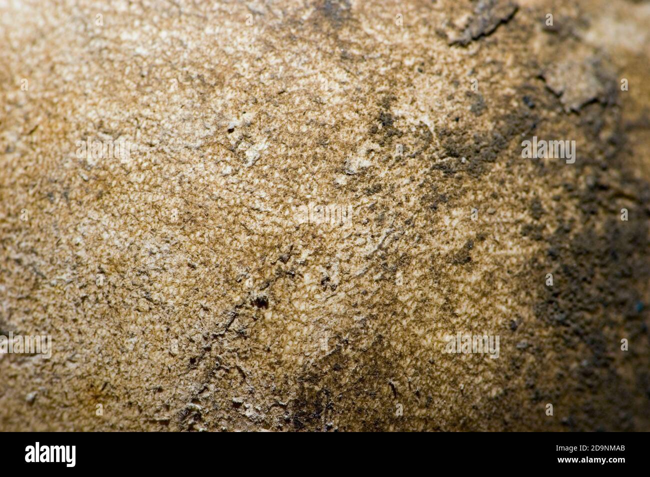 Close-up of baseball leather, great background and texture material ...