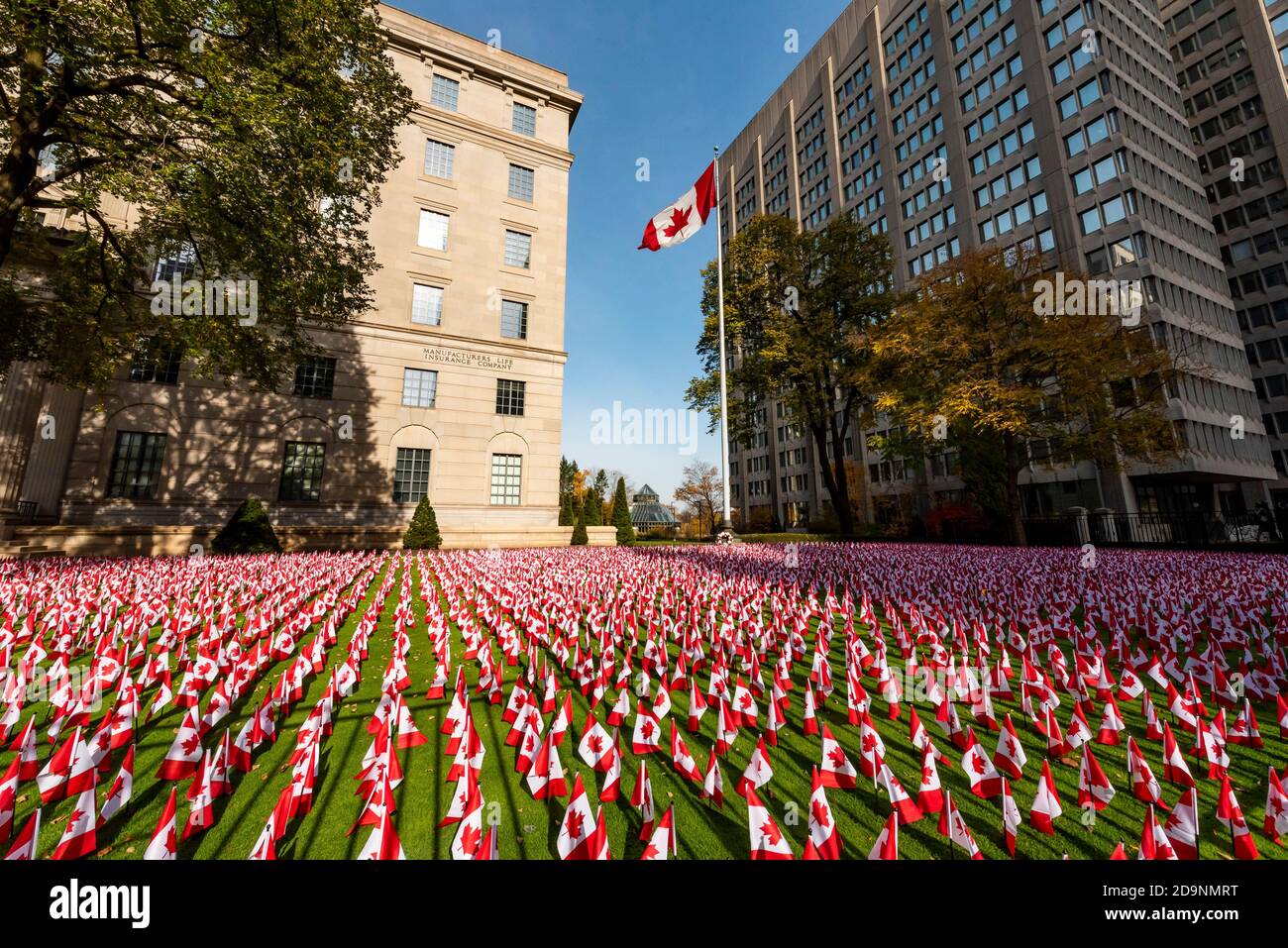 Toronto, Canada. 6 November 2020. Canadian flags on display at the ...