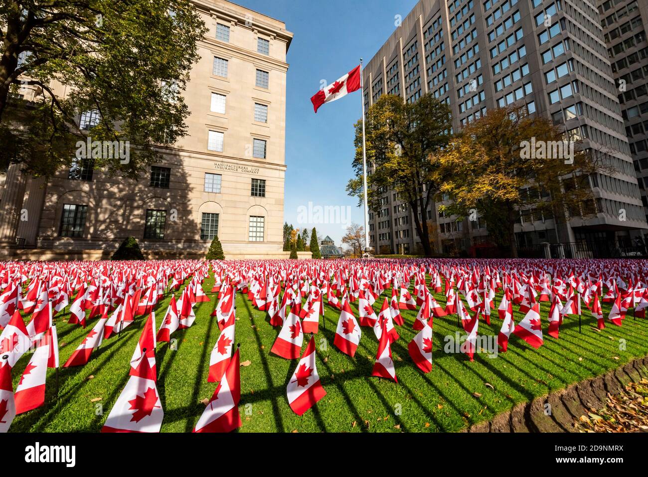 Toronto, Canada. 6 November 2020. Canadian flags on display at the ...