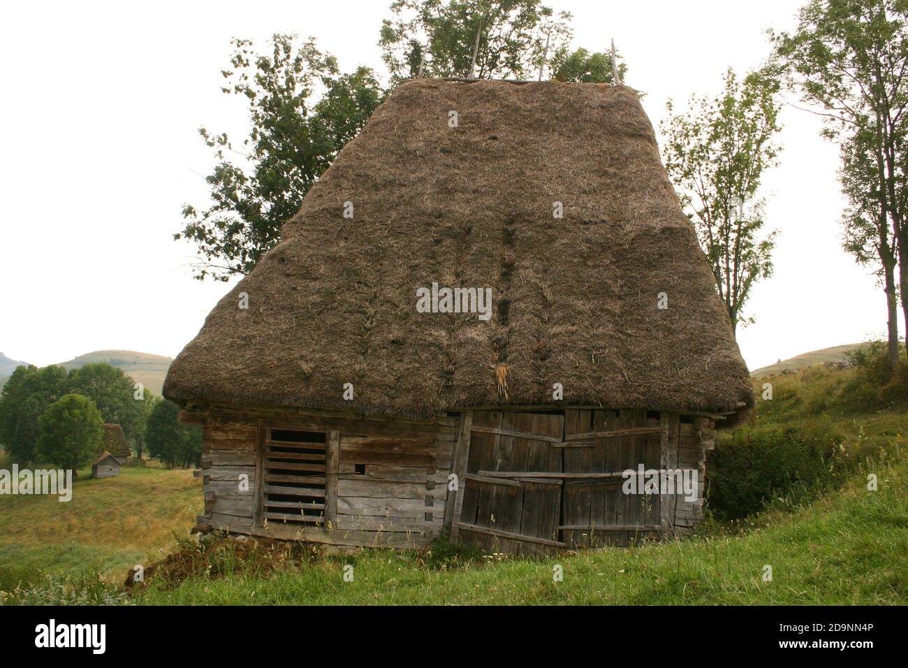 Alba County, Romania. A traditional barn covered by a thatched straw ...
