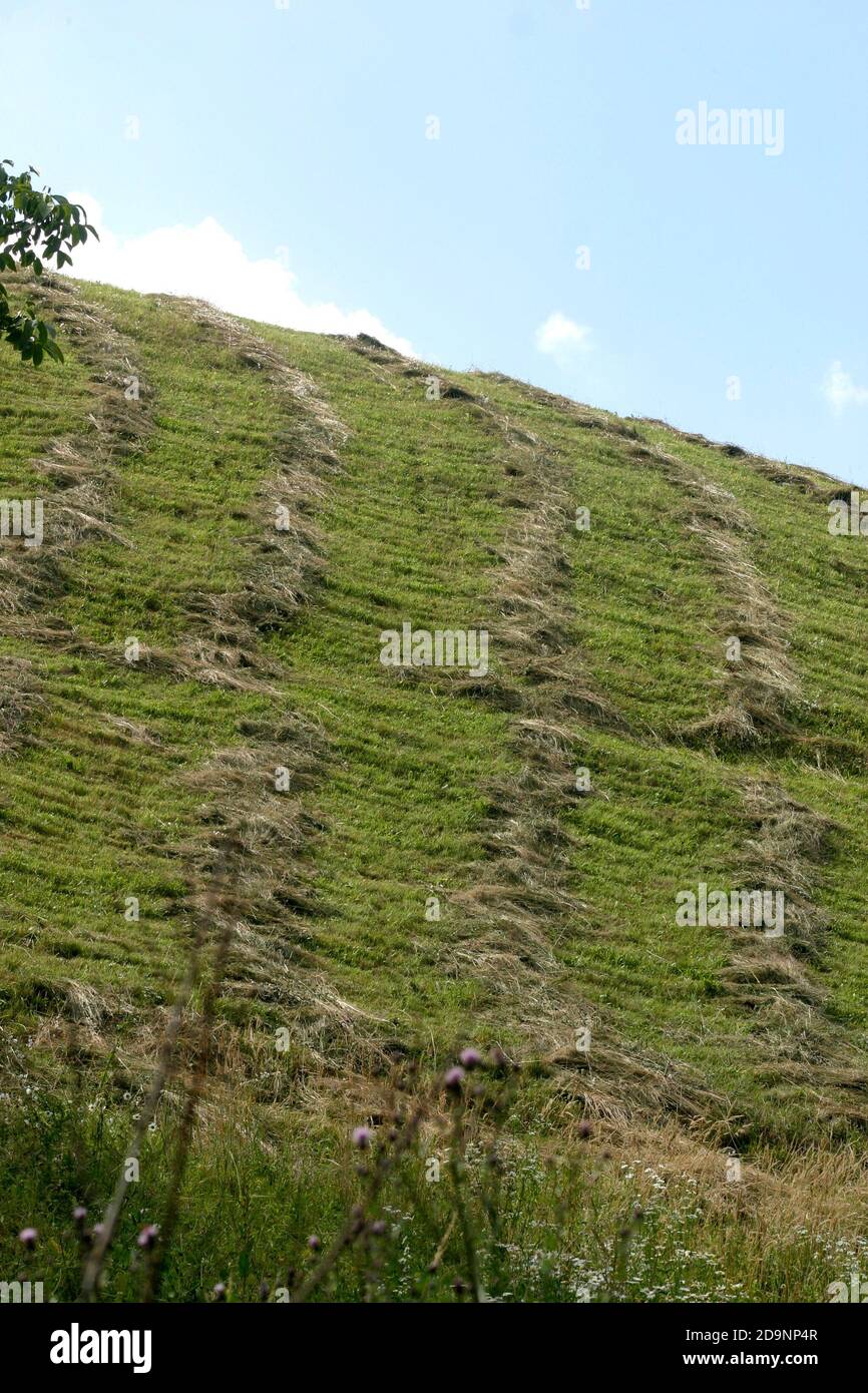 Scythe in hay field hi-res stock photography and images - Alamy