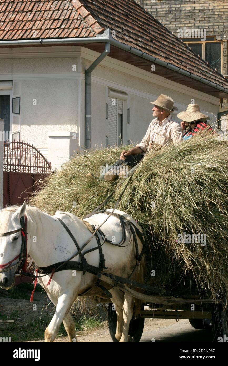 Horse And Hay Cart High Resolution Stock Photography and Images - Alamy