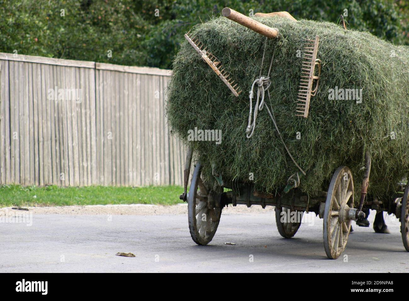 Cart and animals on a farm hi-res stock photography and images - Alamy