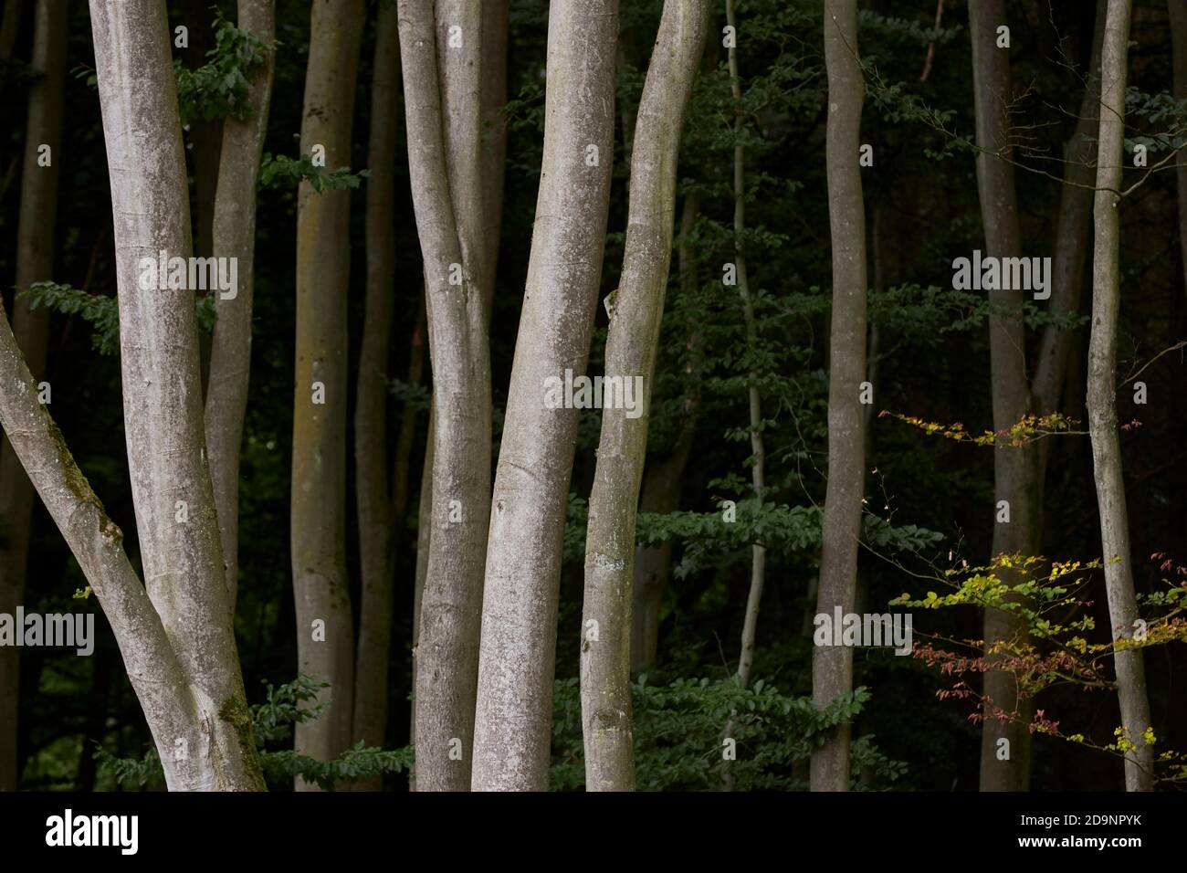 Edge coloring hi-res stock photography and images - Alamy