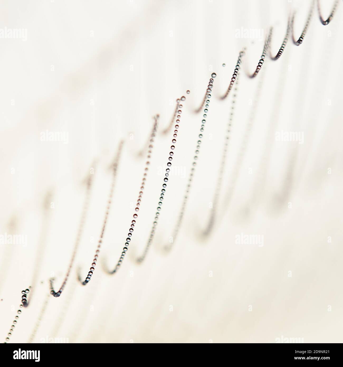 Spider web arch hi-res stock photography and images - Alamy